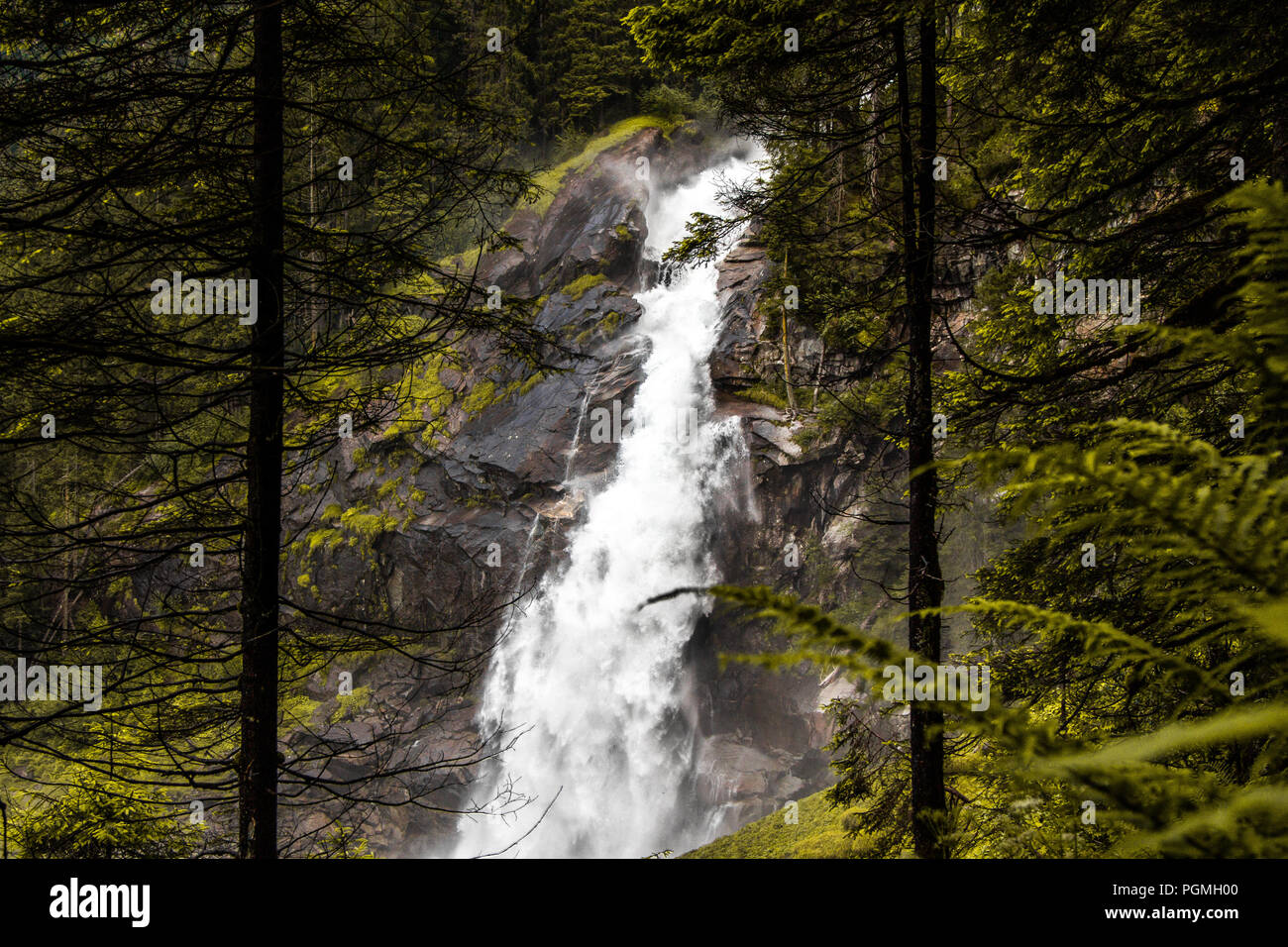 Waterfall and trees hi-res stock photography and images - Alamy