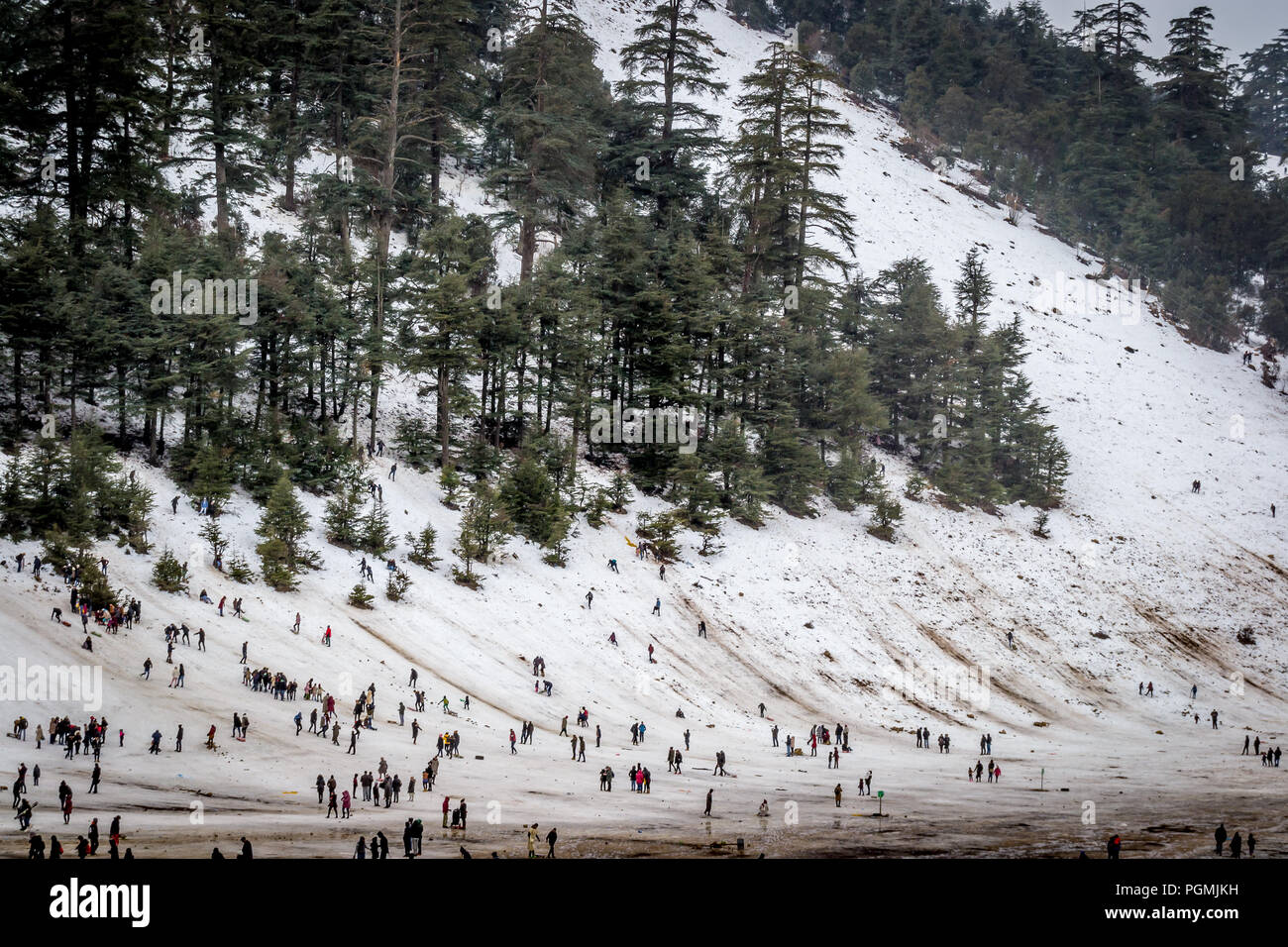 Ifrane morocco snow hi-res stock photography and images - Alamy