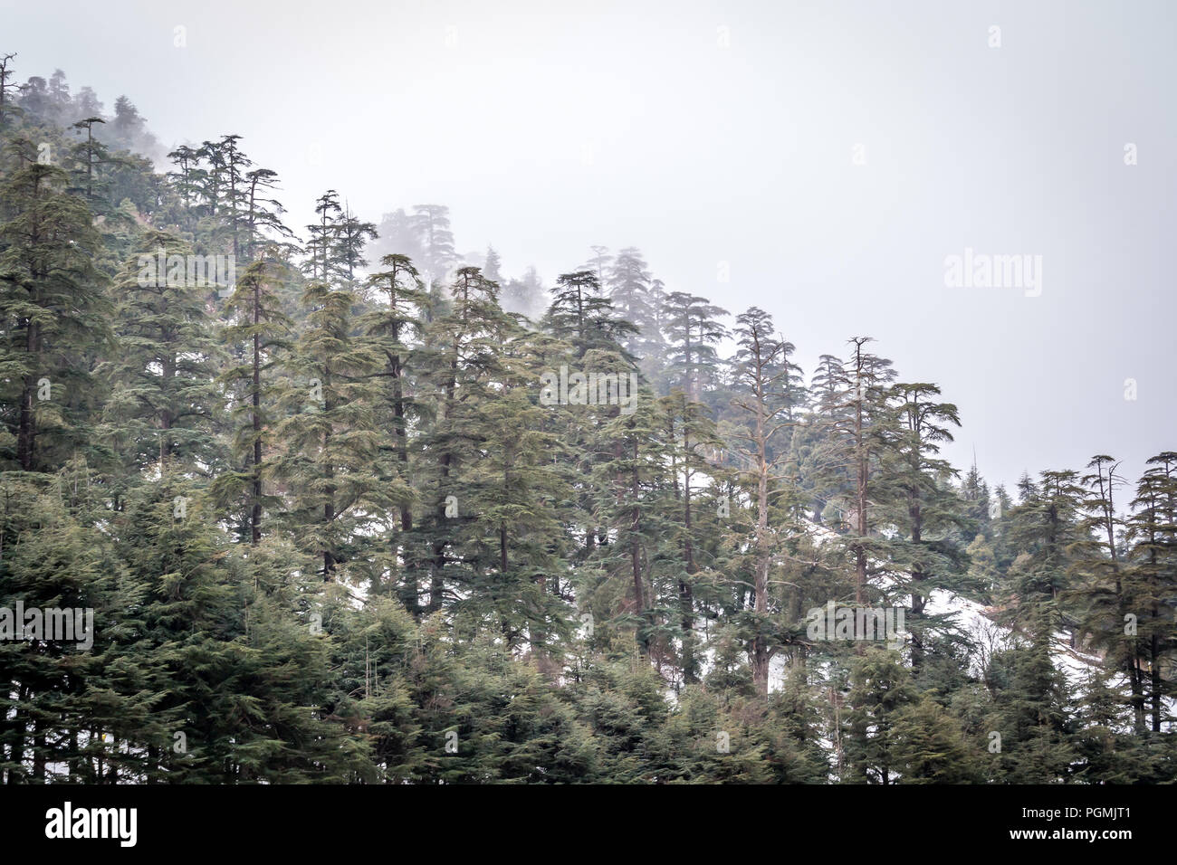 Ifrane morocco snow hi-res stock photography and images - Alamy