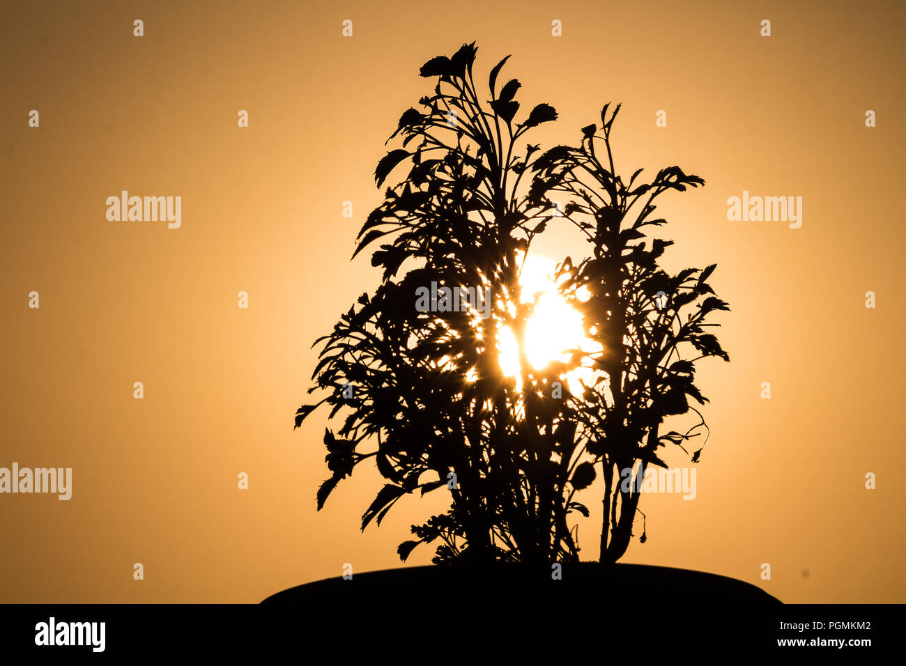 Beautiful photos which are stunning in every possible way Stock Photo ...