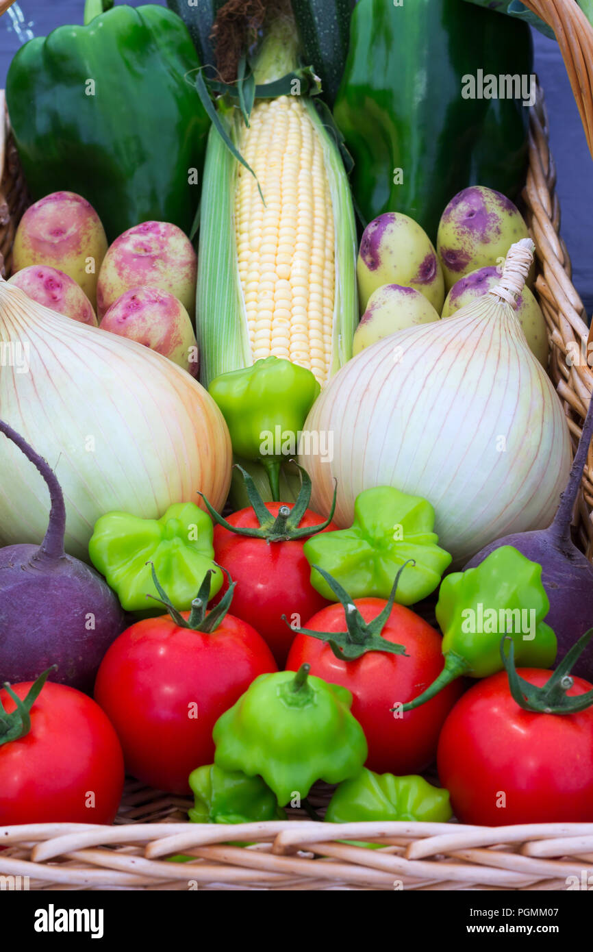 Display fruit vegetables horticultural show hi-res stock photography ...