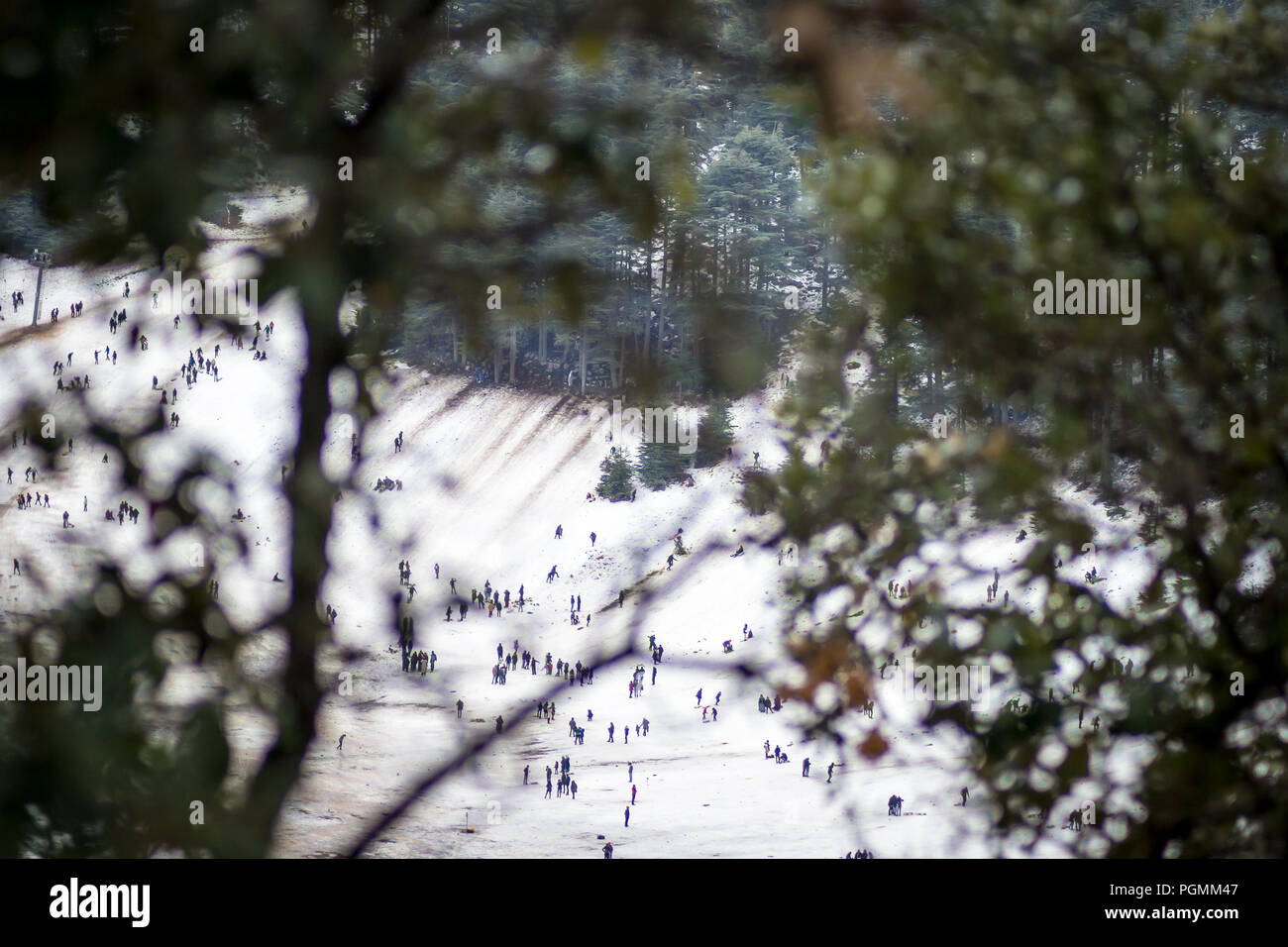 Snow and mountain on michlifen morocco Stock Photo - Alamy