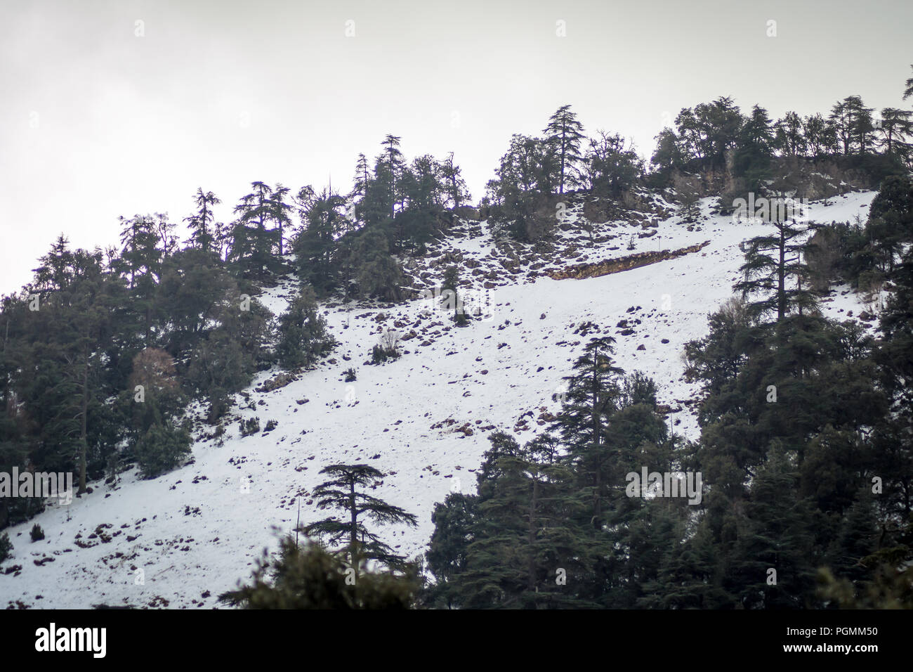 Ifrane morocco snow hi-res stock photography and images - Alamy