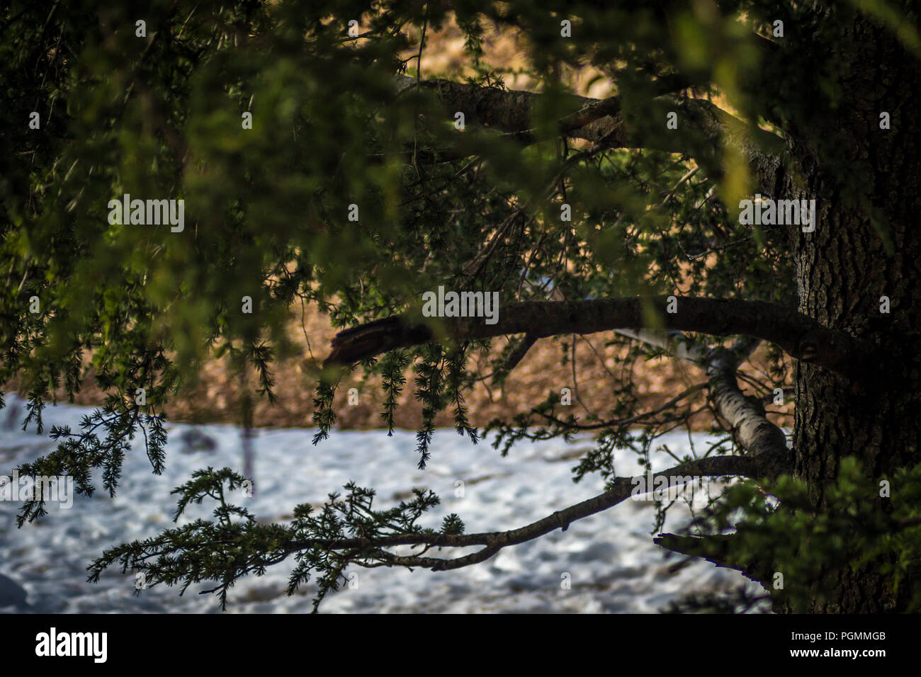 Ifrane morocco snow hi-res stock photography and images - Alamy