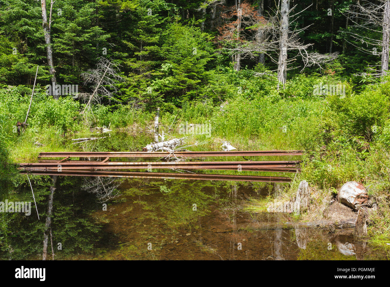 Railroad track along an abandoned spur line of the East Branch ...