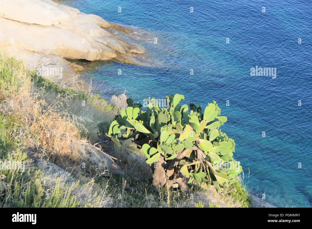 Elba swimming hi-res stock photography and images - Alamy