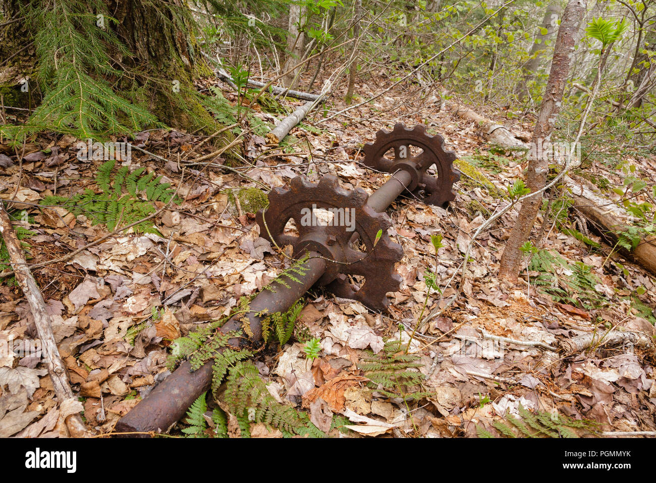 Mad river logging era hi-res stock photography and images - Alamy