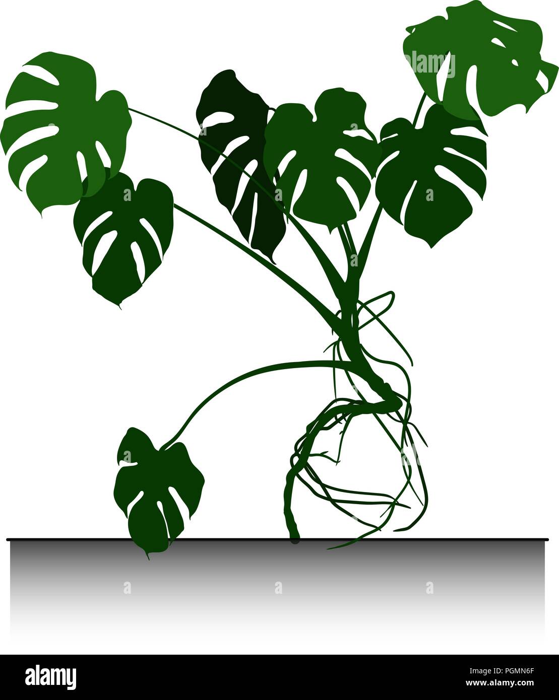 Monstera leaf wallpaper botanical Stock Vector Images - Alamy