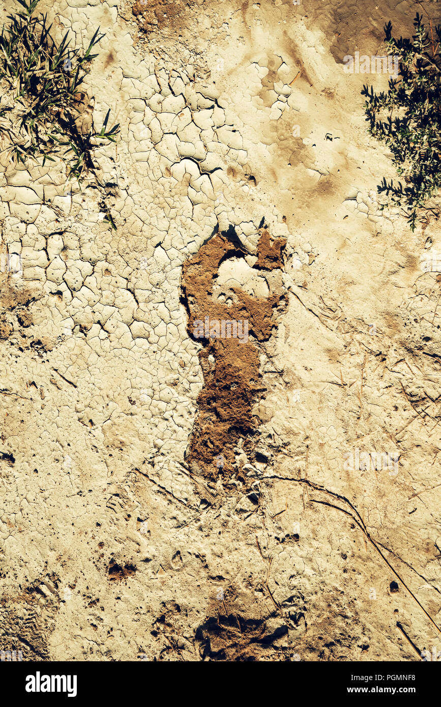Muddy shoe print hi-res stock photography and images - Alamy