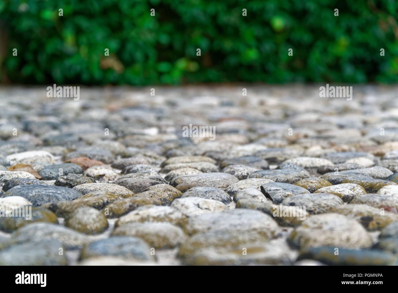Pebbles ancient floor with grass background,closeup big stones Stock ...