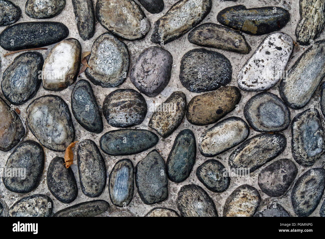 Pebbles ancient floor background,closeup big stones Stock Photo - Alamy