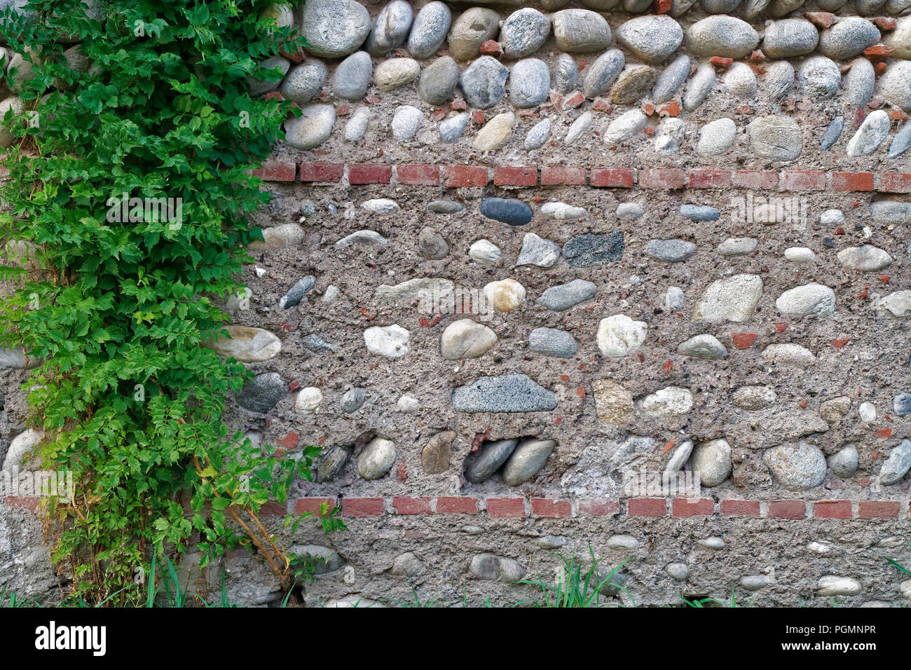 Pebbles ancient wall with grass background,closeup big stones Stock ...