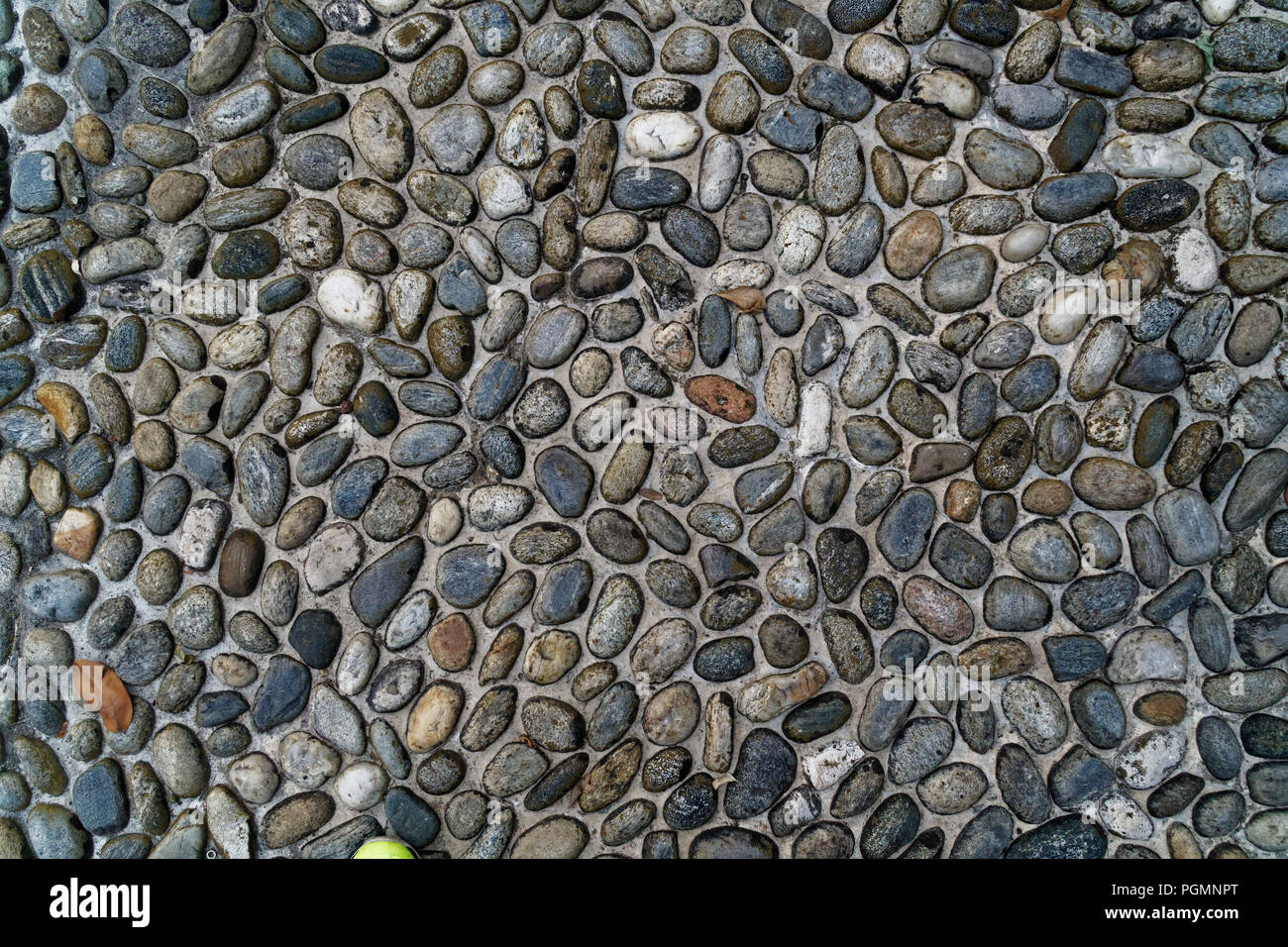 Pebbles ancient floor background,closeup big stones Stock Photo - Alamy
