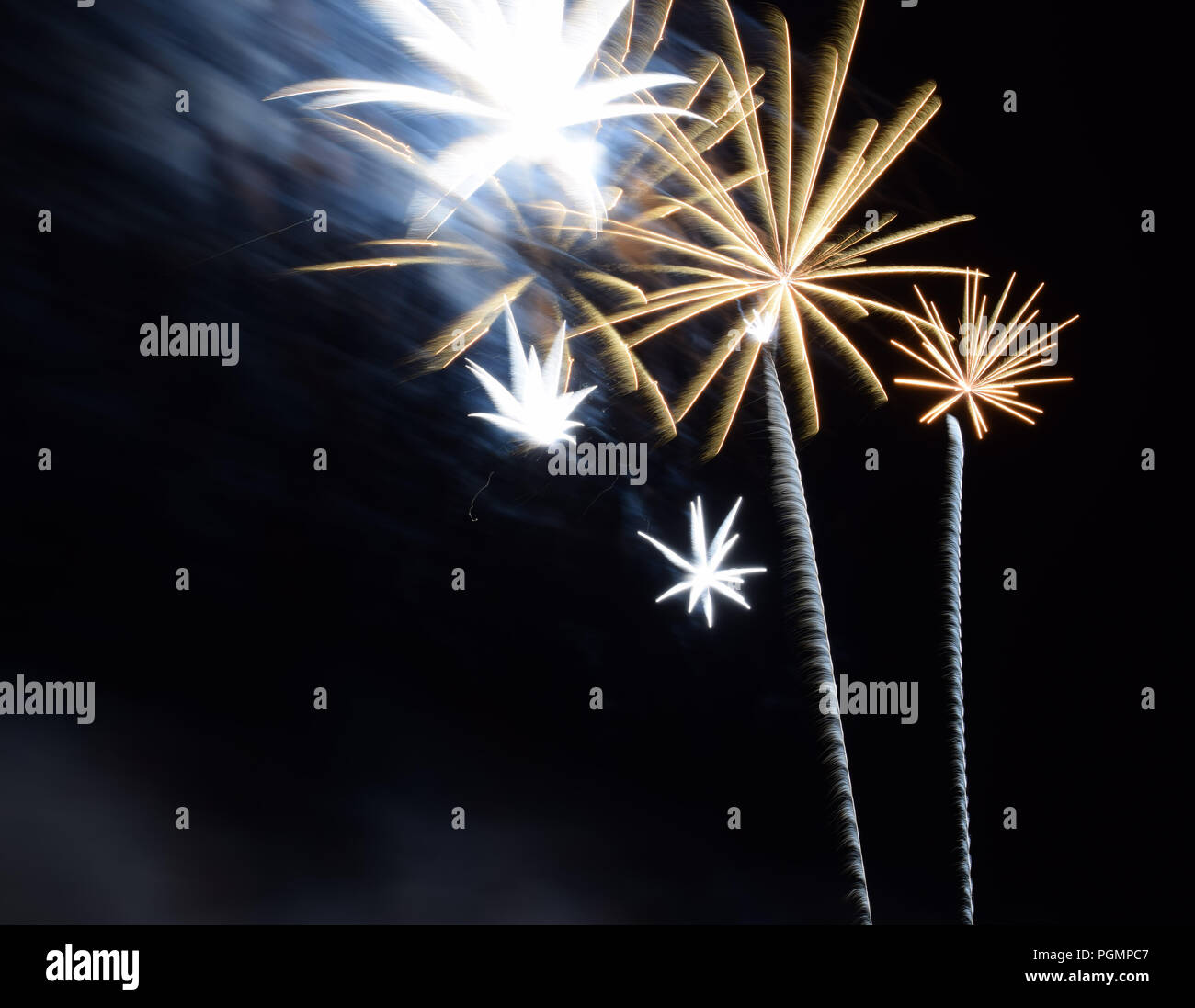 fireworks shaped like palm trees, fireworks effect on dark sky ...