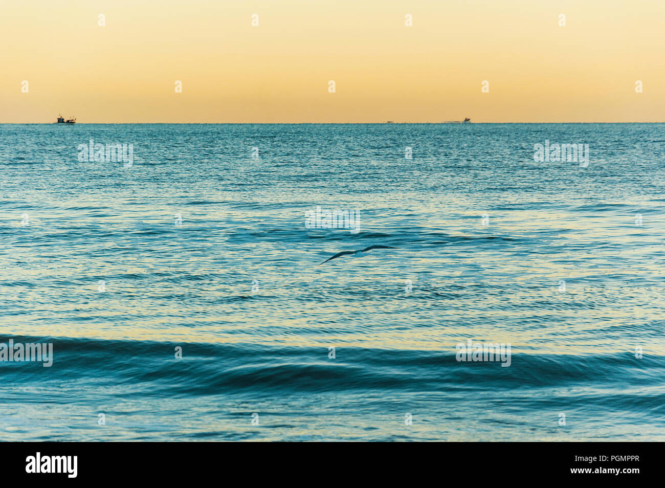 Sandy beaches of Rimini shortly after dawn in winter Stock Photo - Alamy