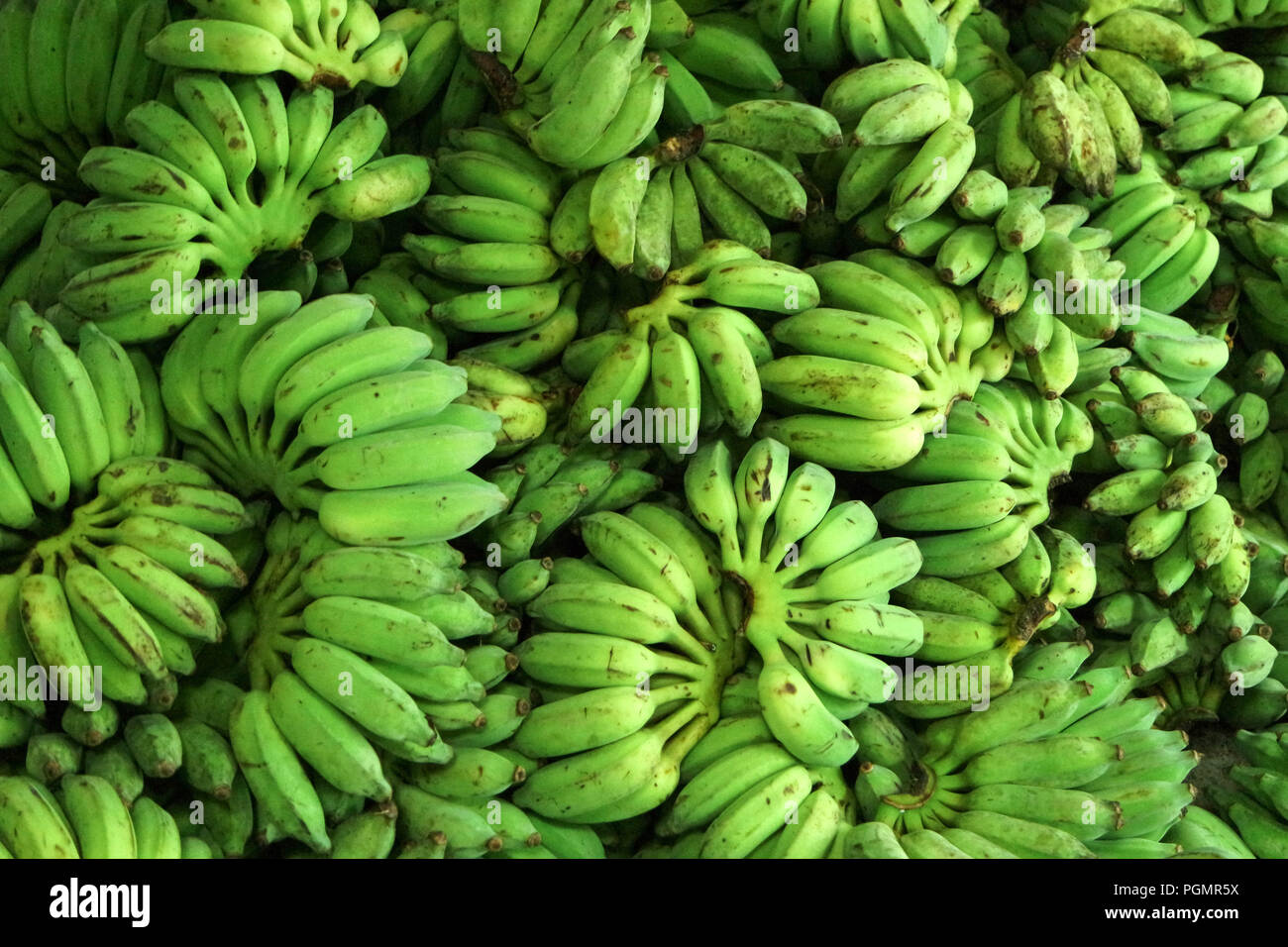 Piles of bananas ready for the Elephants @ ENP Stock Photo - Alamy