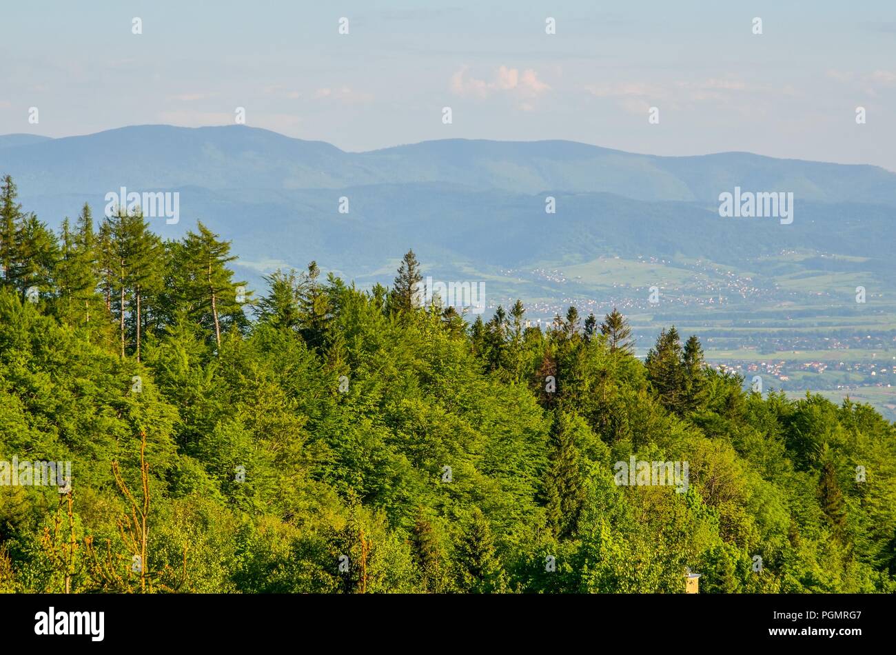 Spring mountain landscape. A beautiful view of the green hills Stock ...