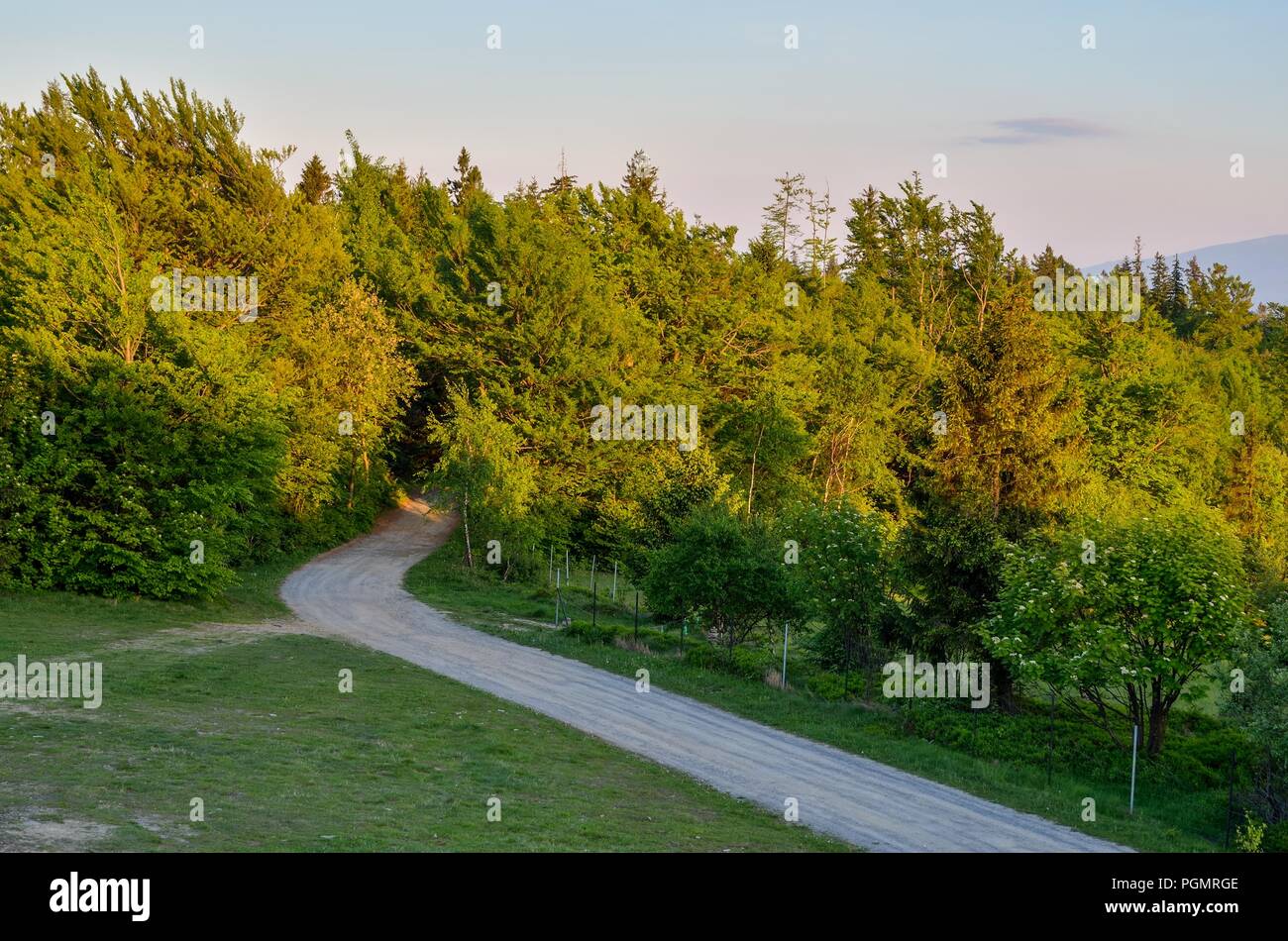 Spring mountain landscape. A beautiful view of the green hills Stock ...