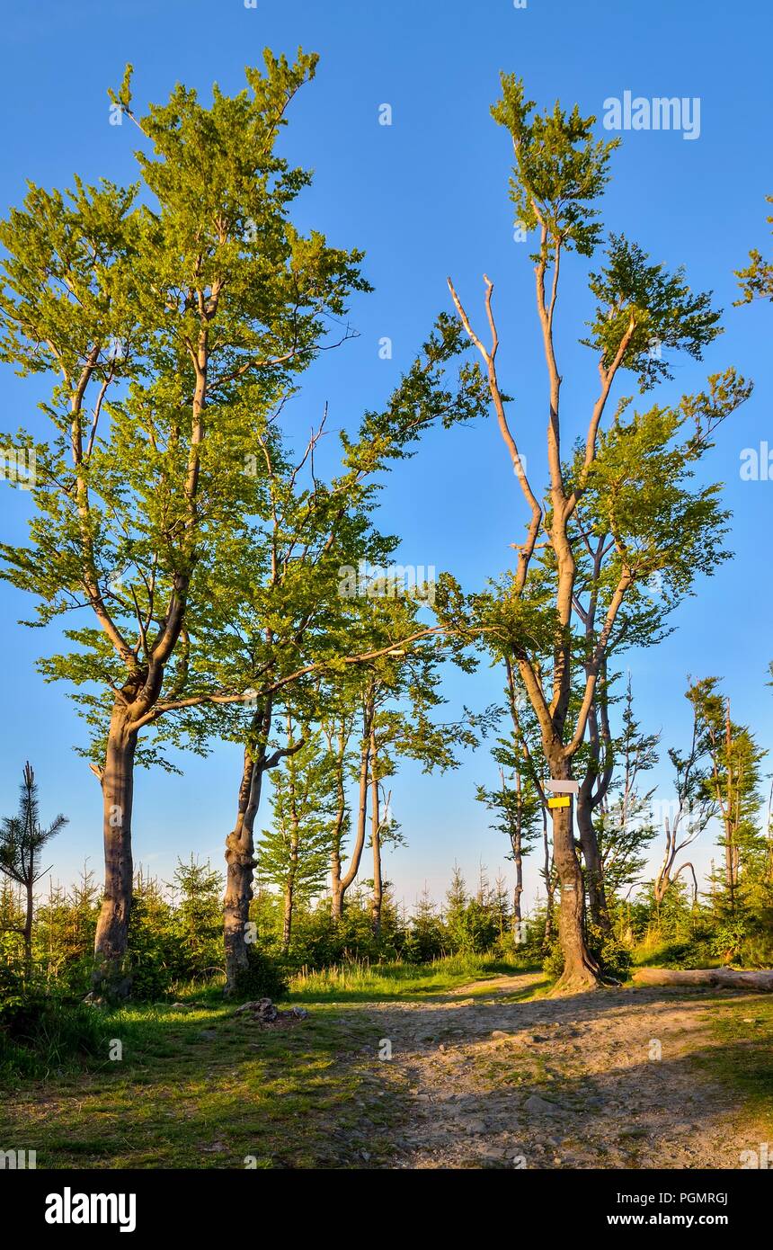 Bole hill road hi-res stock photography and images - Alamy