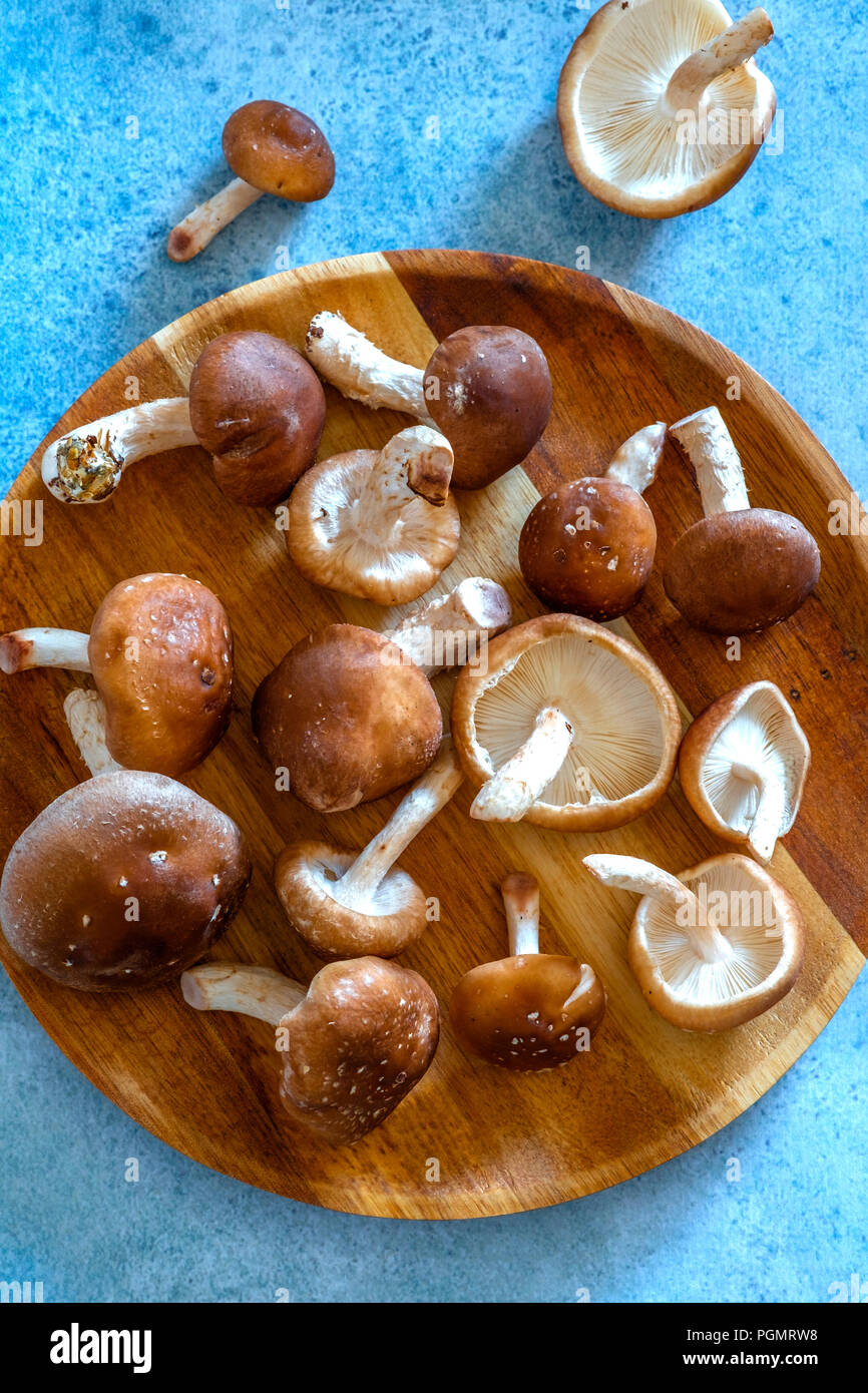 Chinese funghi hi-res stock photography and images - Alamy