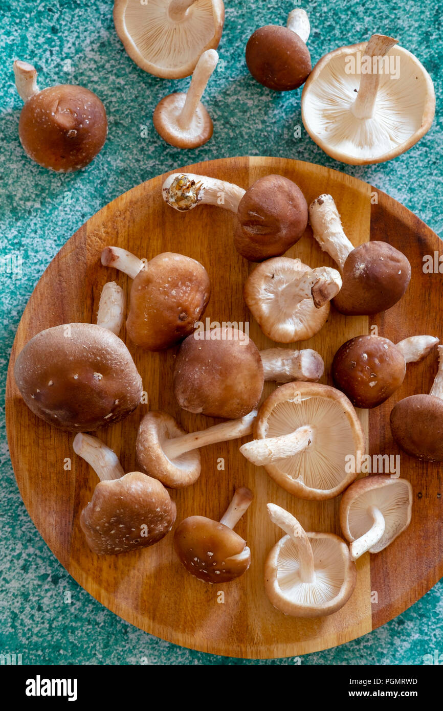 Shitake mushrooms cooked hi-res stock photography and images - Alamy