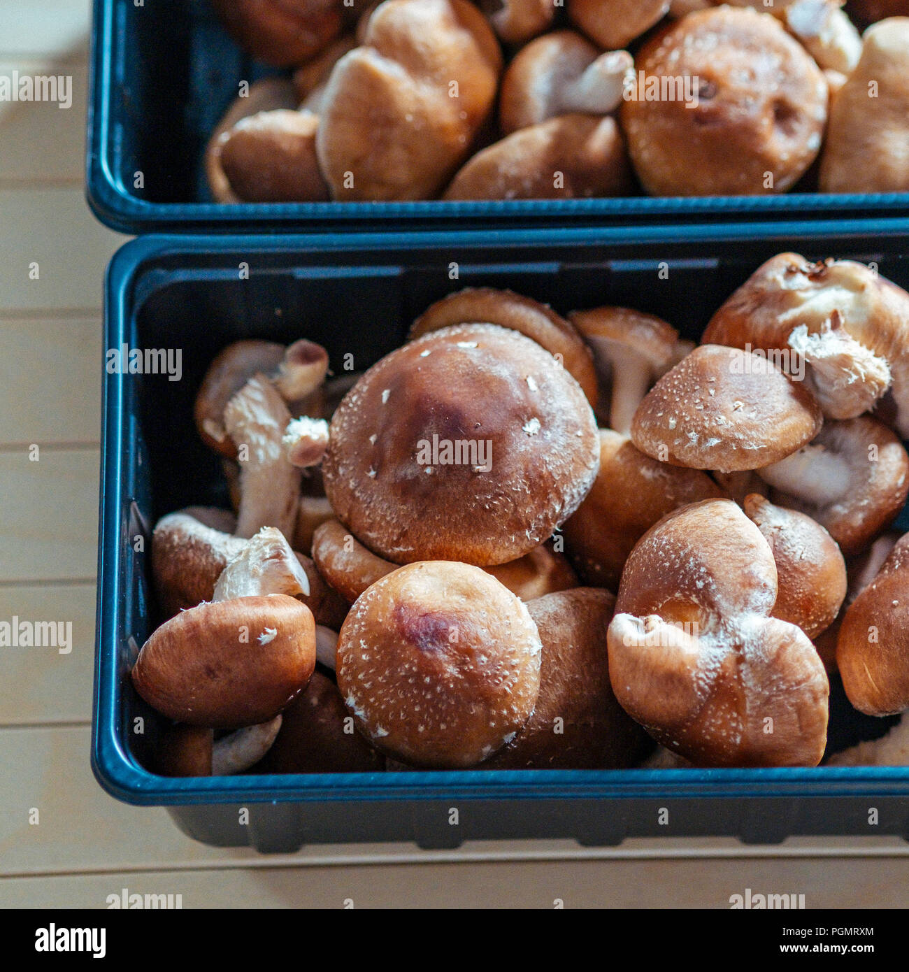 Chinese Funghi High Resolution Stock Photography and Images - Alamy