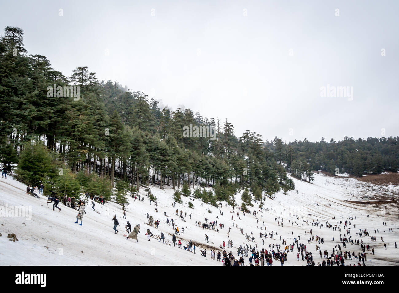 Snow and mountain on michlifen morocco Stock Photo - Alamy