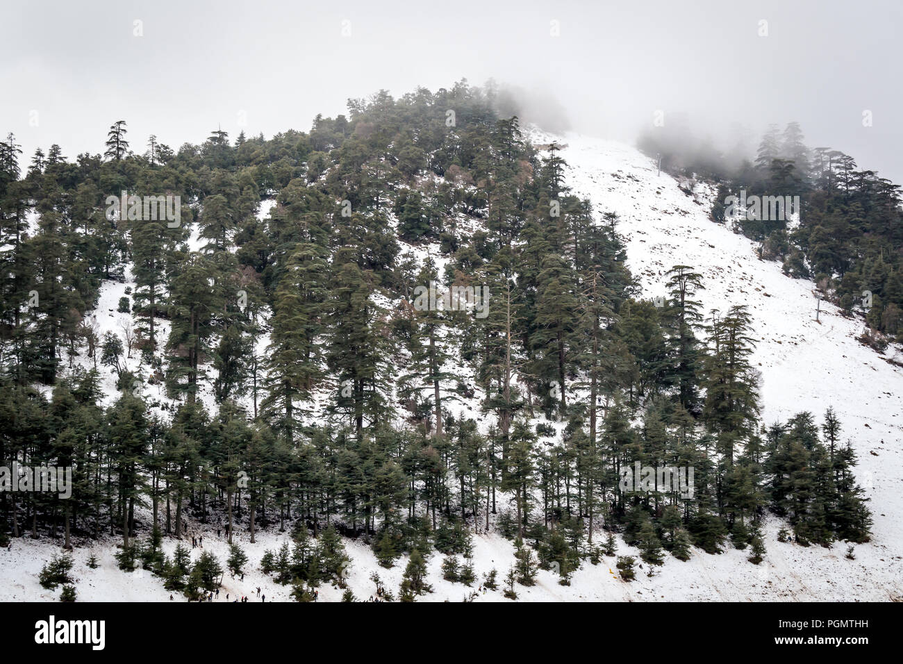 Ifrane morocco snow hi-res stock photography and images - Alamy