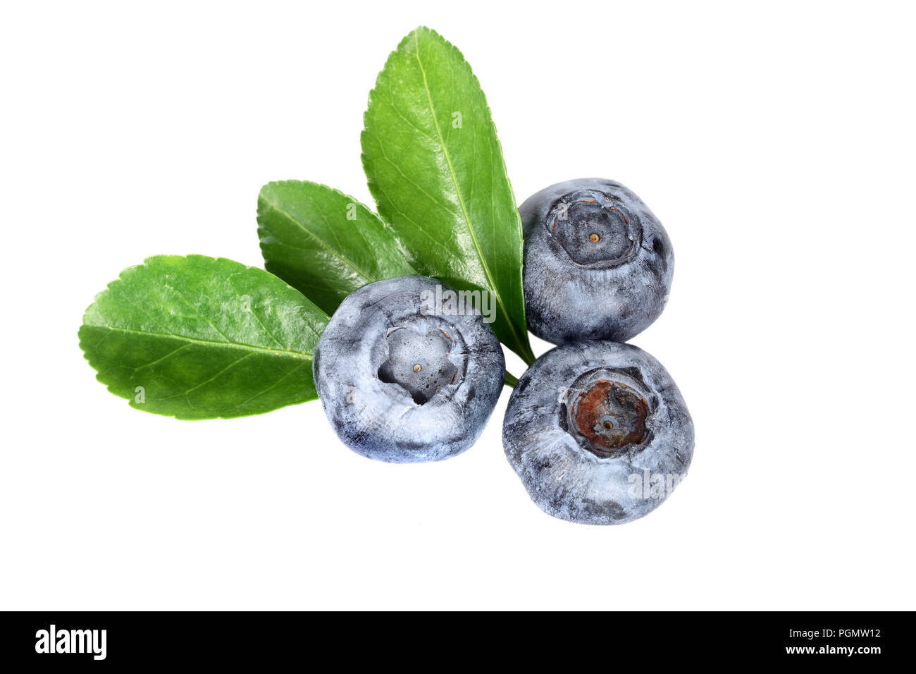 Blueberries isolated on white background Stock Photo - Alamy