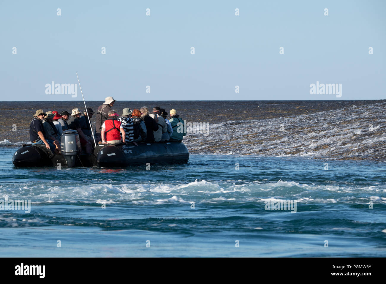 Australia, Western Australia, Kimberley, Montgomery Reef. Often ...