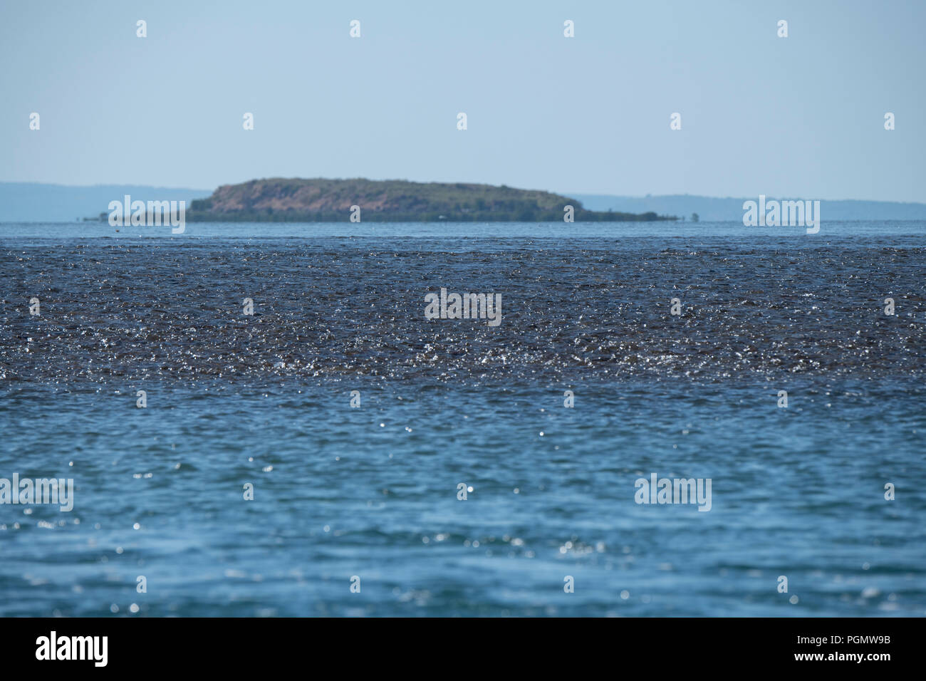 Australia, Western Australia, Kimberley, Montgomery Reef. Often ...