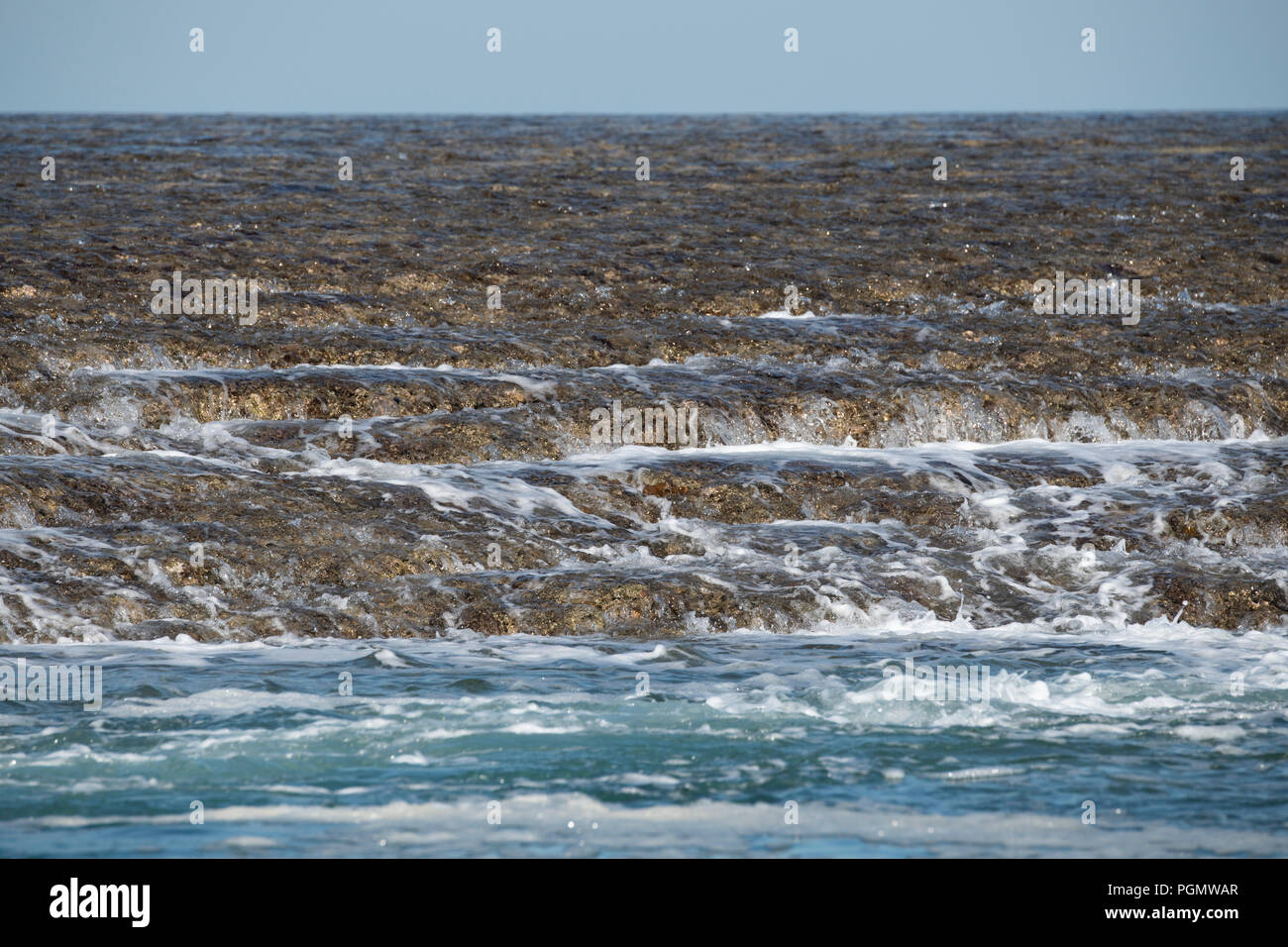 Australia, Western Australia, Kimberley, Montgomery Reef. Often ...