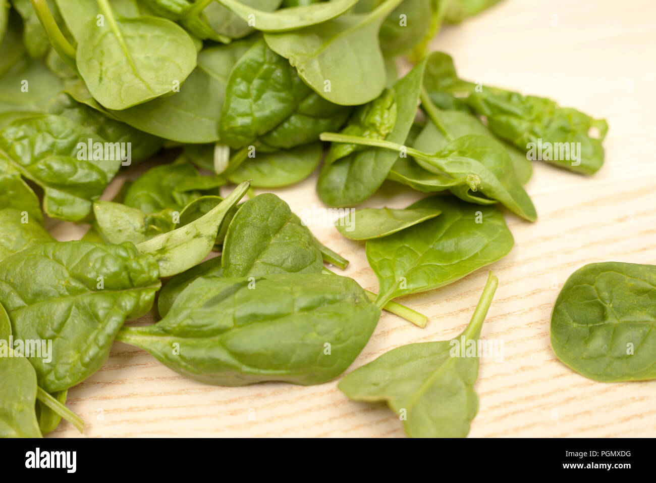 Close up of baby spinach leaves Stock Photo - Alamy