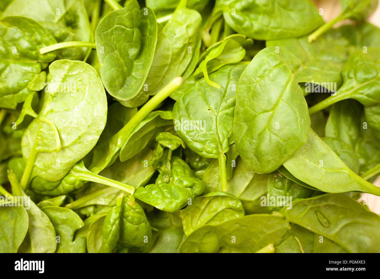 Baby spinach leaves hi-res stock photography and images - Alamy