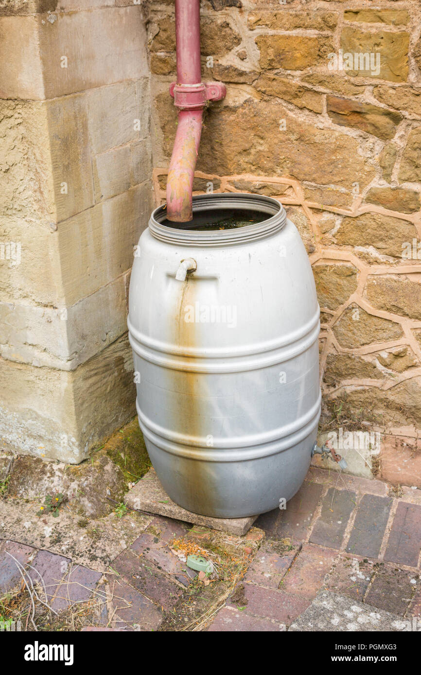 Rainwater collecting in a metal barrel, UK Stock Photo - Alamy