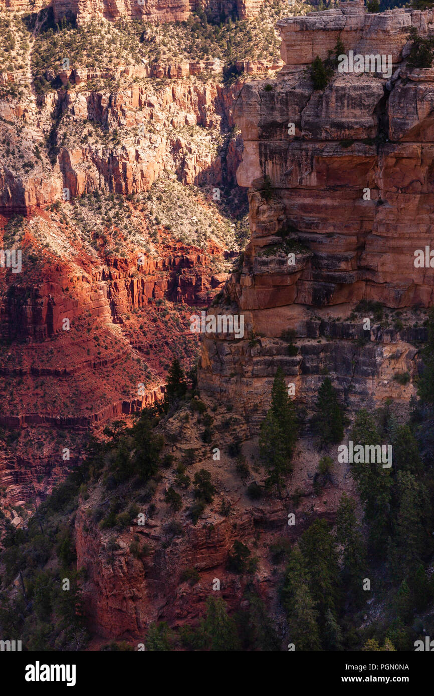 Grand canyon stone detail hi-res stock photography and images - Alamy