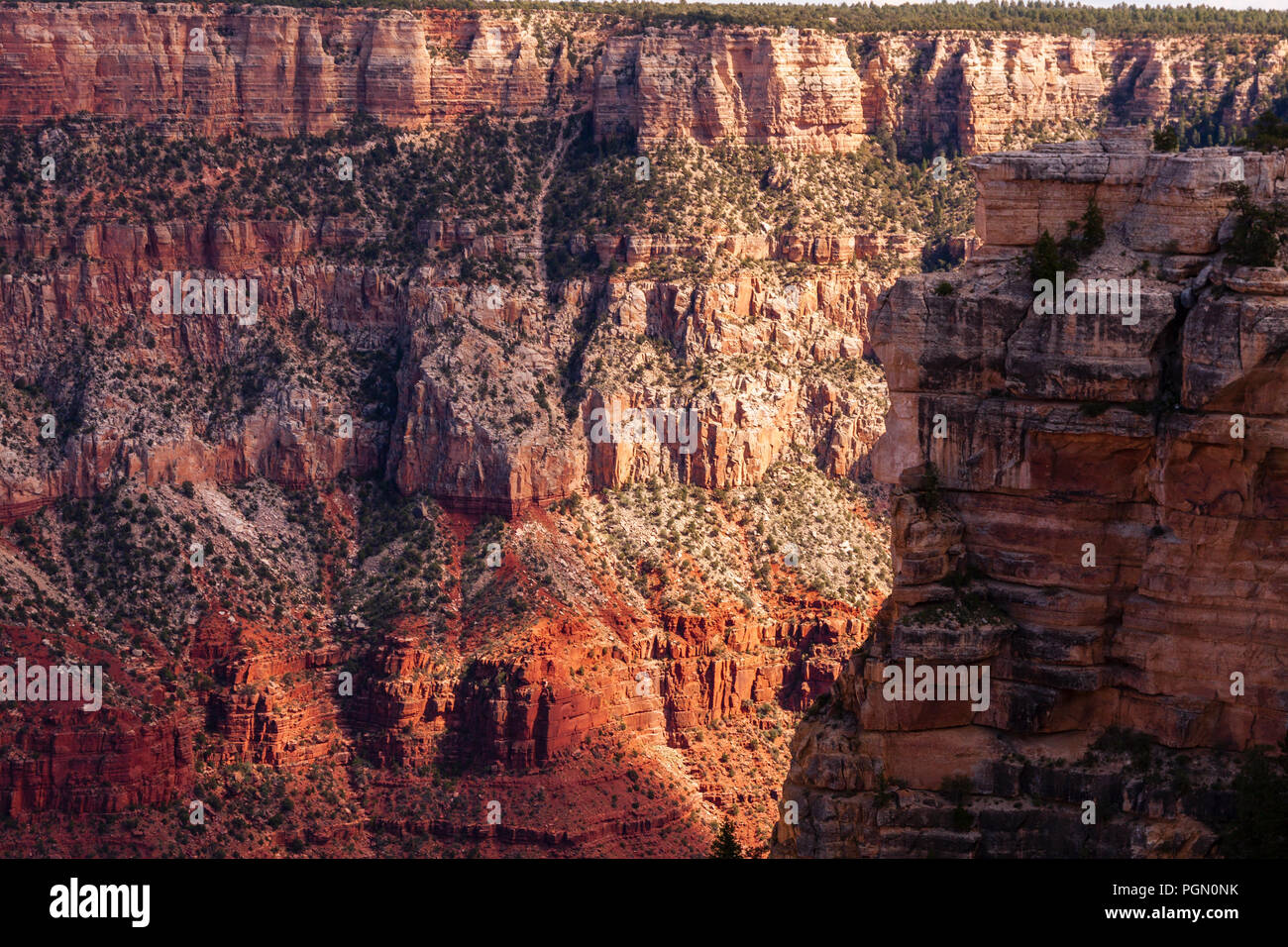 Grand Canyon Stone Detail High Resolution Stock Photography and Images ...