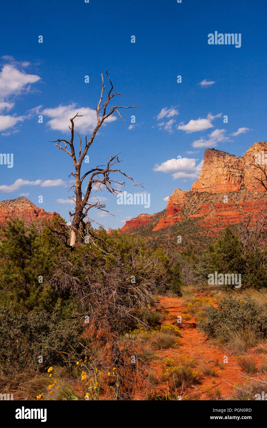 Schenbly Hill at Red Rock State Park Stock Photo - Alamy