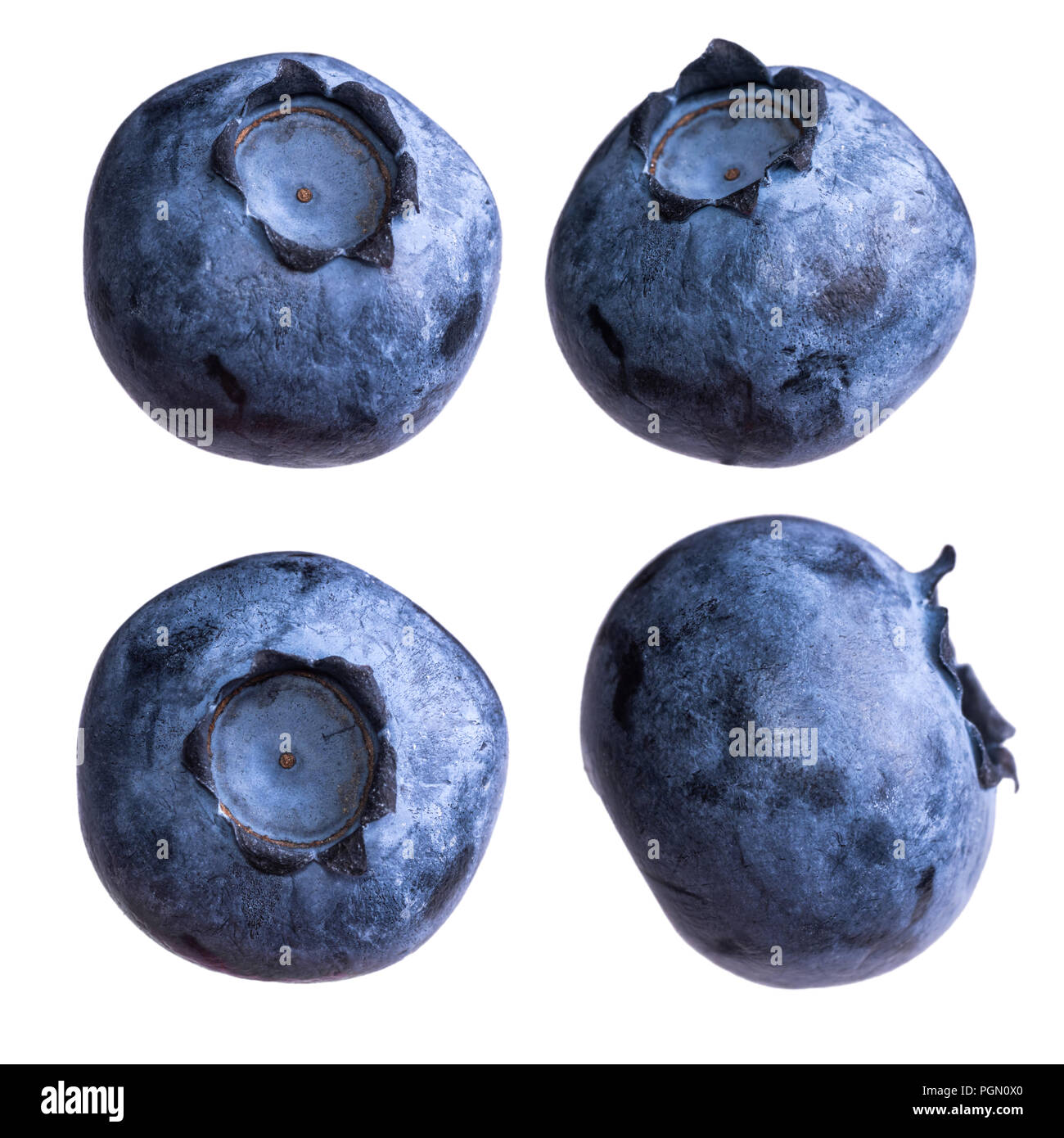 Blueberries isolated on white background. Macro photo. Berry view from ...