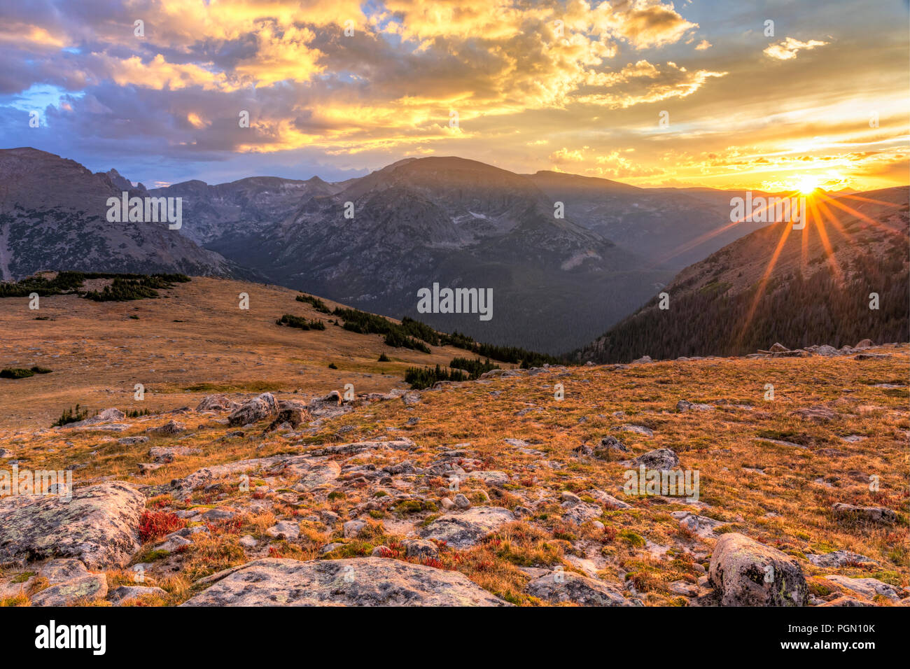 Alpine tundra on the Ute Crossing Trail looking Southwest toward the ...