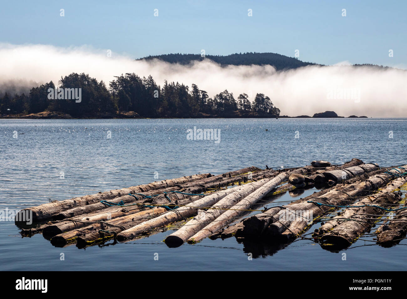 Timber raft canada hi-res stock photography and images - Alamy
