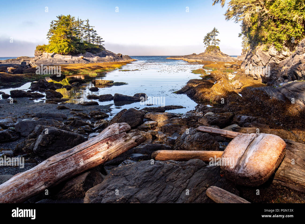 Coastal View at Botanical Beach Provincial Park and Botany Bay - Juan ...