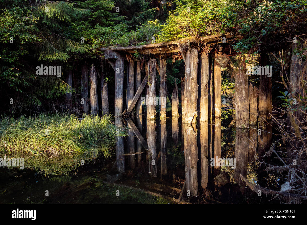 Reflection trestle bridge hi-res stock photography and images - Alamy