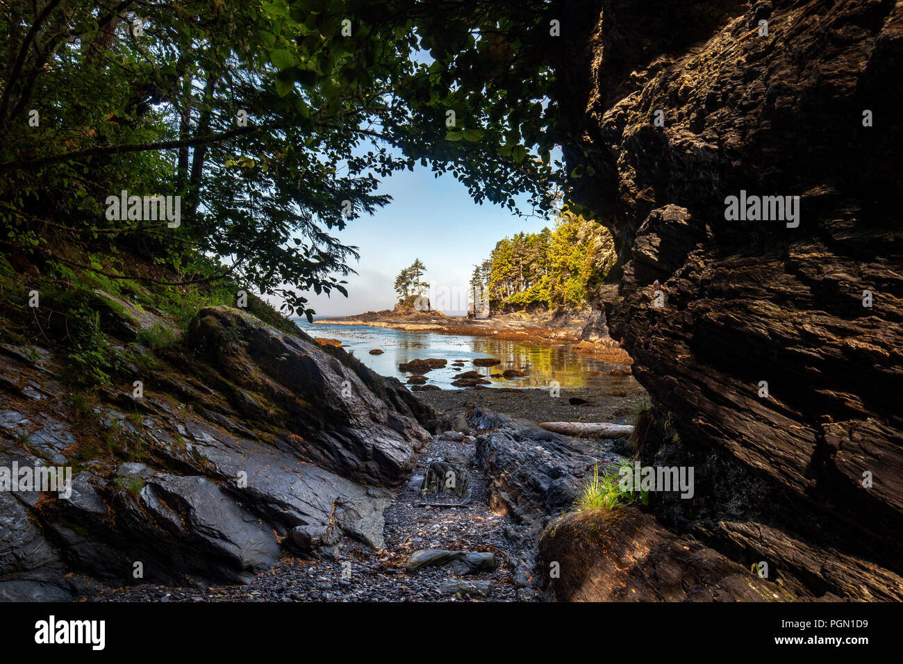Coastal View at Botanical Beach Provincial Park and Botany Bay - Juan ...