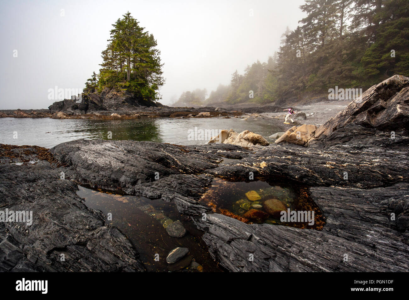 Botanical Beach Provincial Park and Botany Bay - Juan de Fuca Marine ...