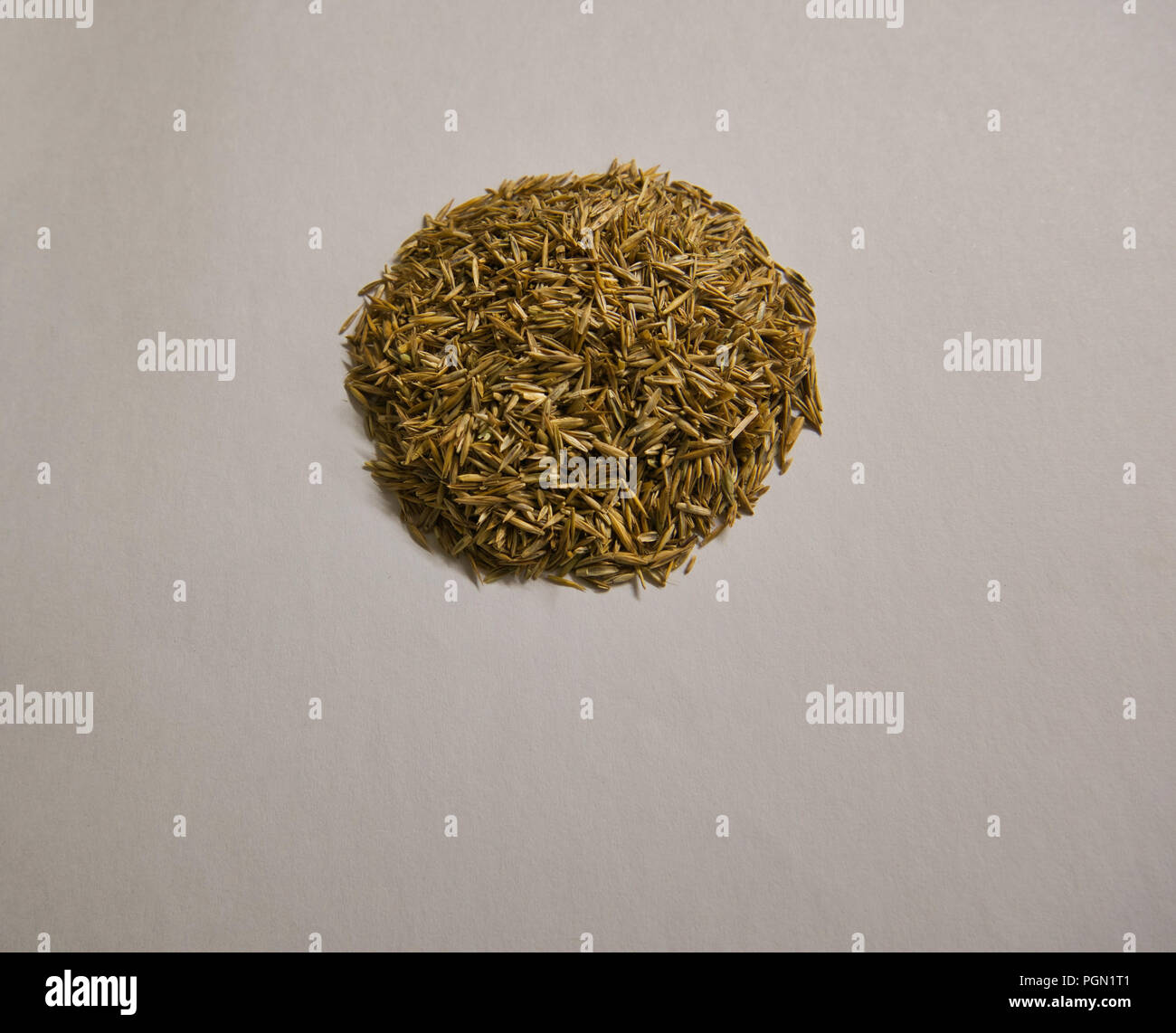 Planting a grass seed hi-res stock photography and images - Alamy