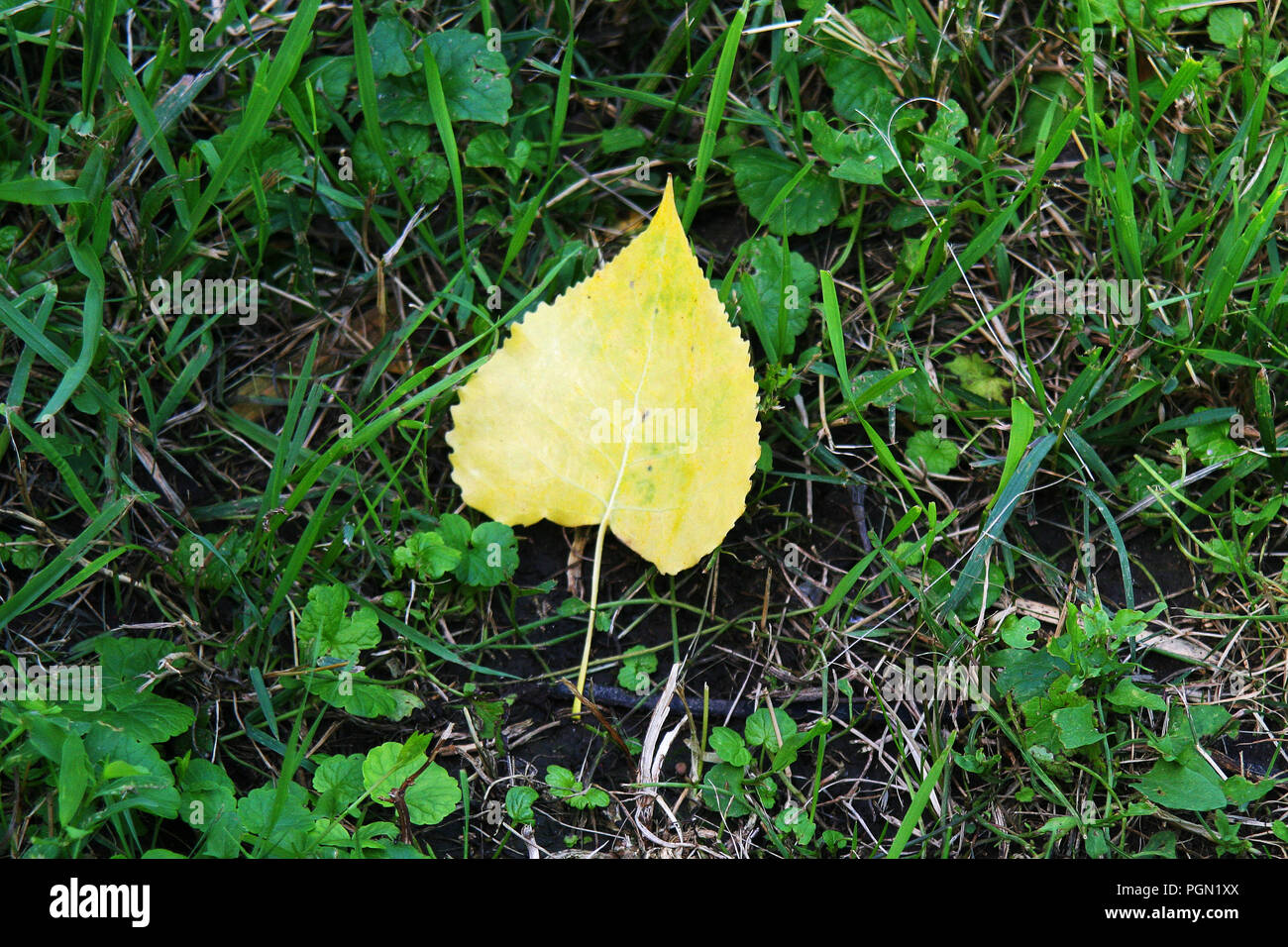 Abstract coming soon background hi-res stock photography and images - Alamy