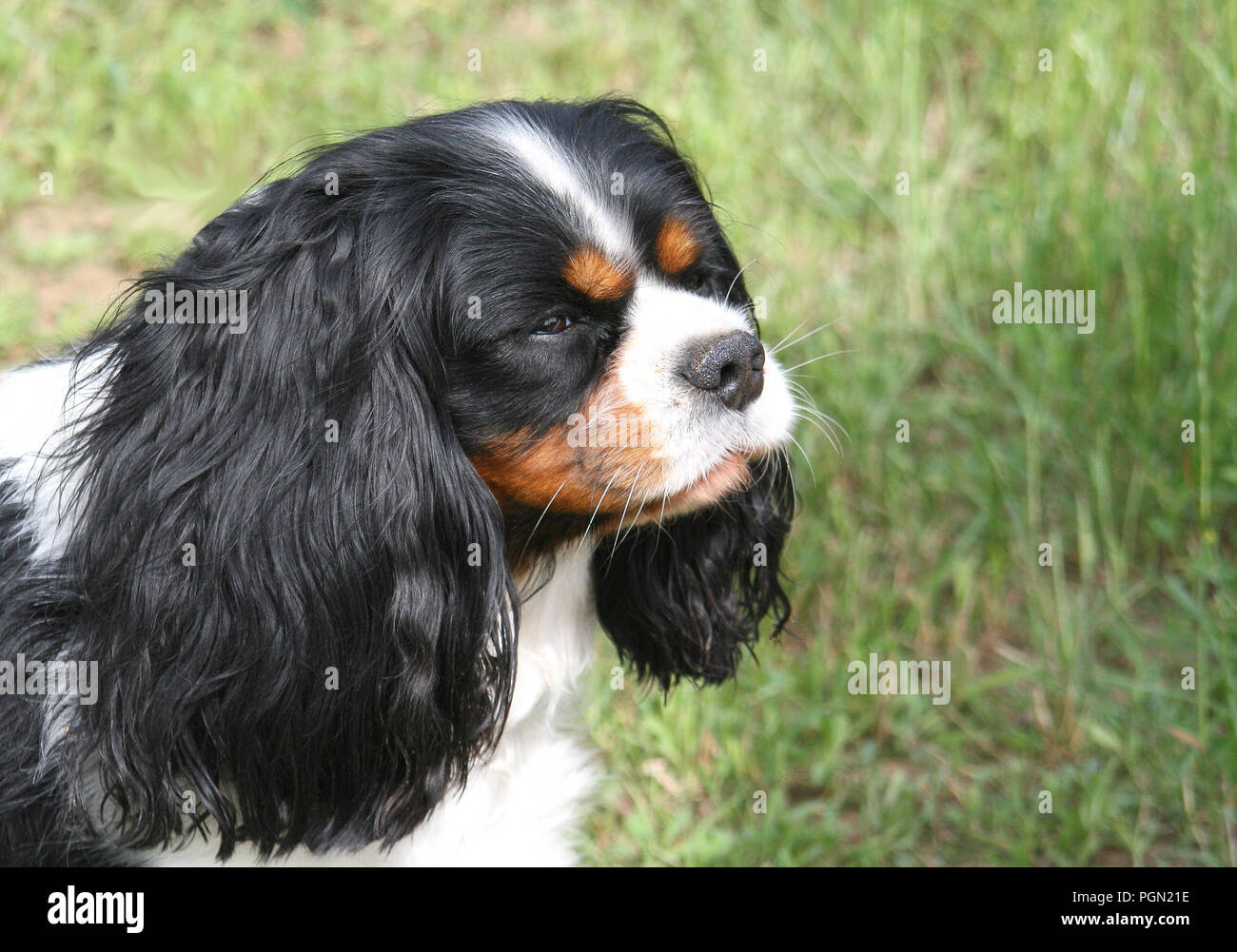 Straight thinking hi-res stock photography and images - Alamy