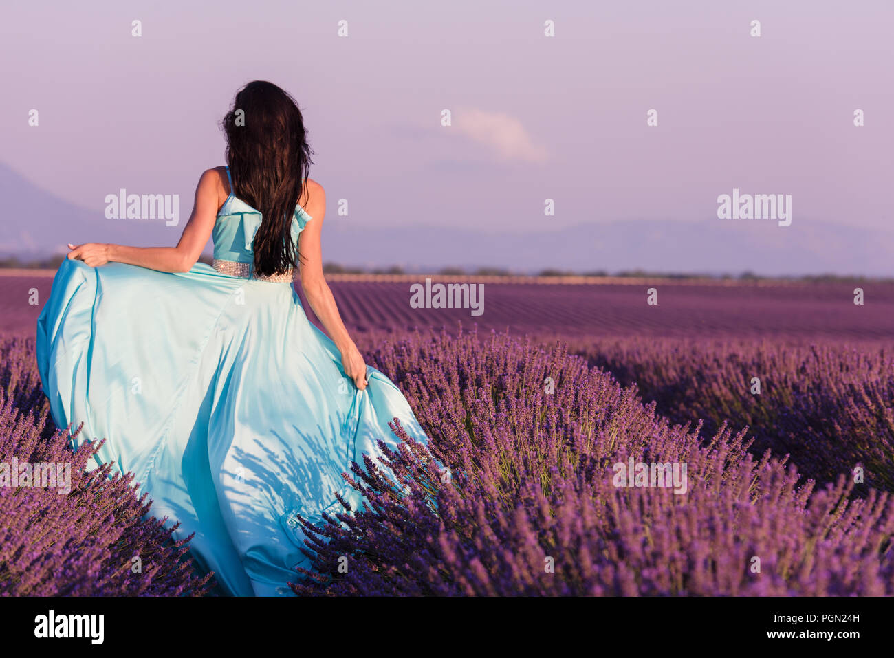 lavander flower field woman in cyand dress having fun and relax on wind in purple flower field ...