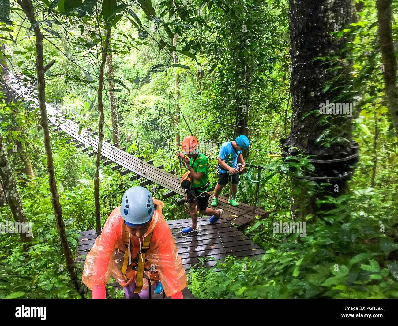 Zip lines hi-res stock photography and images - Alamy